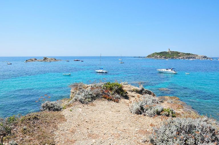 Visiter l'île des Embiez, un petit paradis : que faire? – My Sweet ...