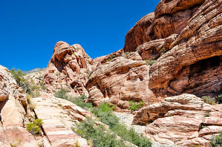 Red Rock Canyon: sublimes paysages à quelques kilomètres de Vegas