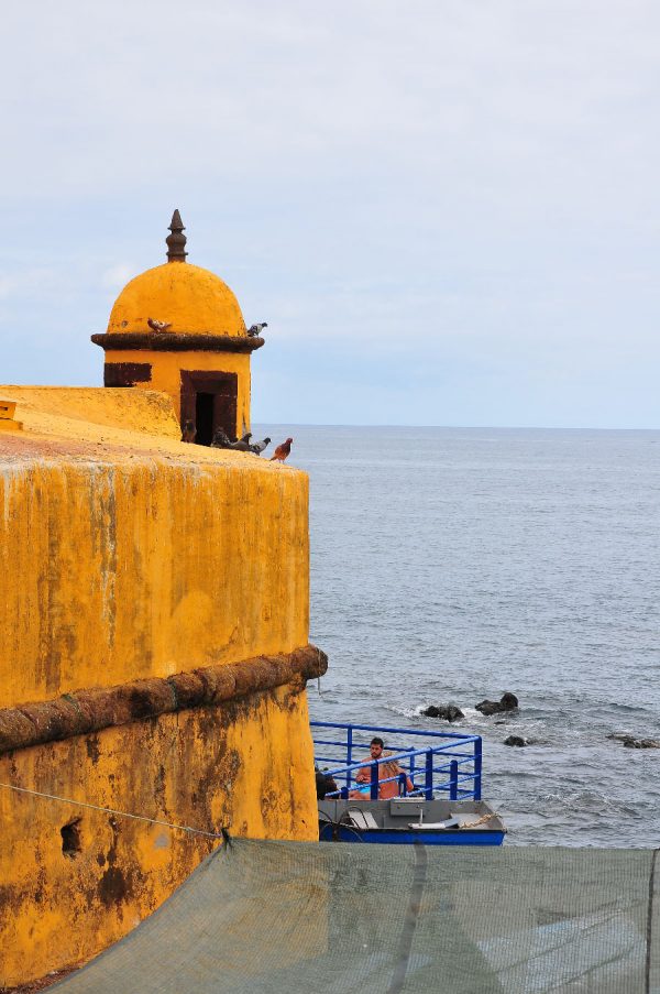 Road-trip à Madère: Choses à voir et faire à Funchal
