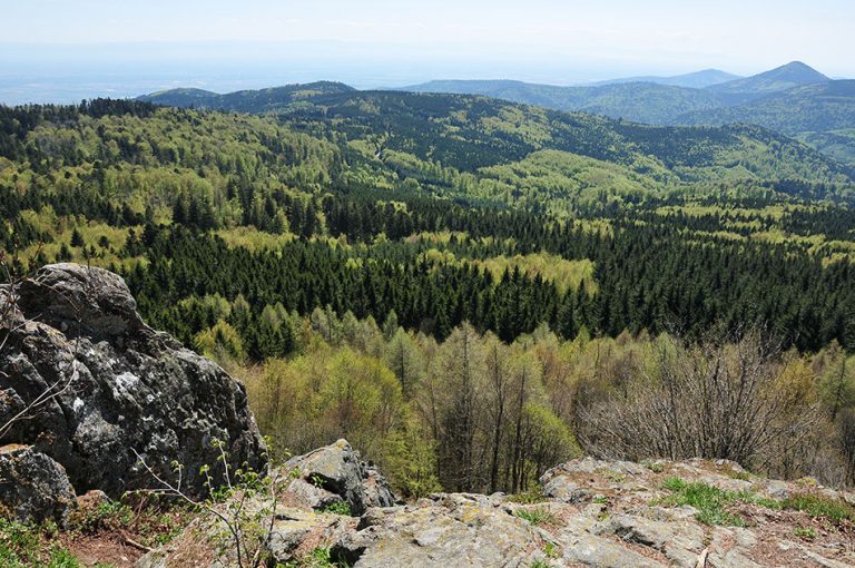 Un week-end dans le Hohwald en Alsace (que faire, idées de randonnées)