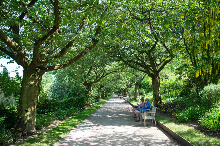 20 choses à faire lors d'un week-end ou séjour en Baie de Somme (Picardie)