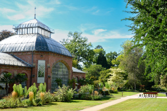5 choses à faire à Metz (Lorraine)